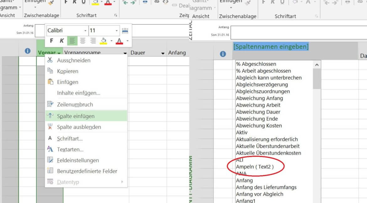 In 3 Schritten zu Ampeln in MS Project - agipro-consulting